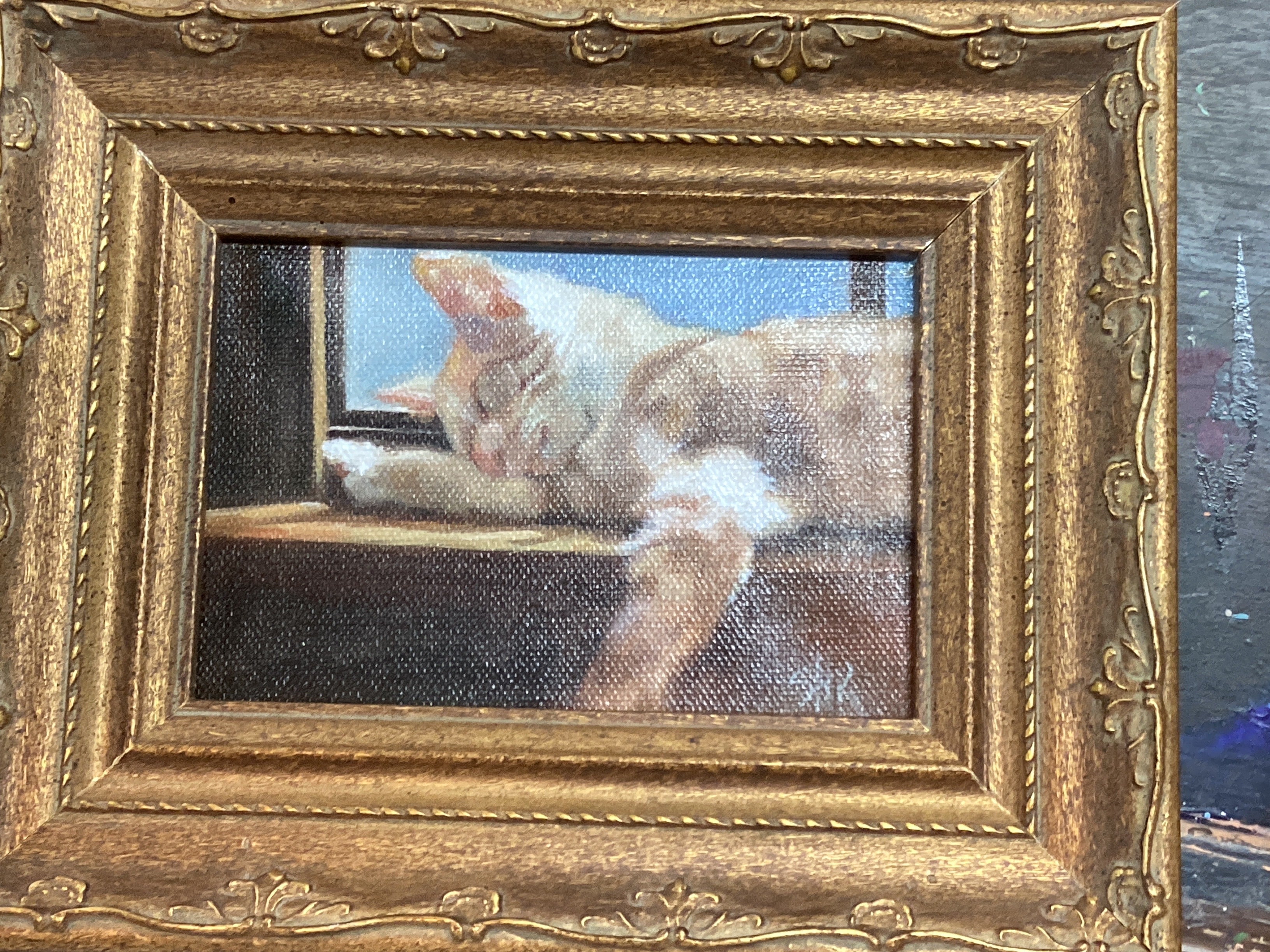 Sunlit tabby Sally Reid – Stella and Goose